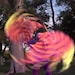 X Large Hand Dyed UV Glow Silk Spin Flags With Flame Tips - Etsy