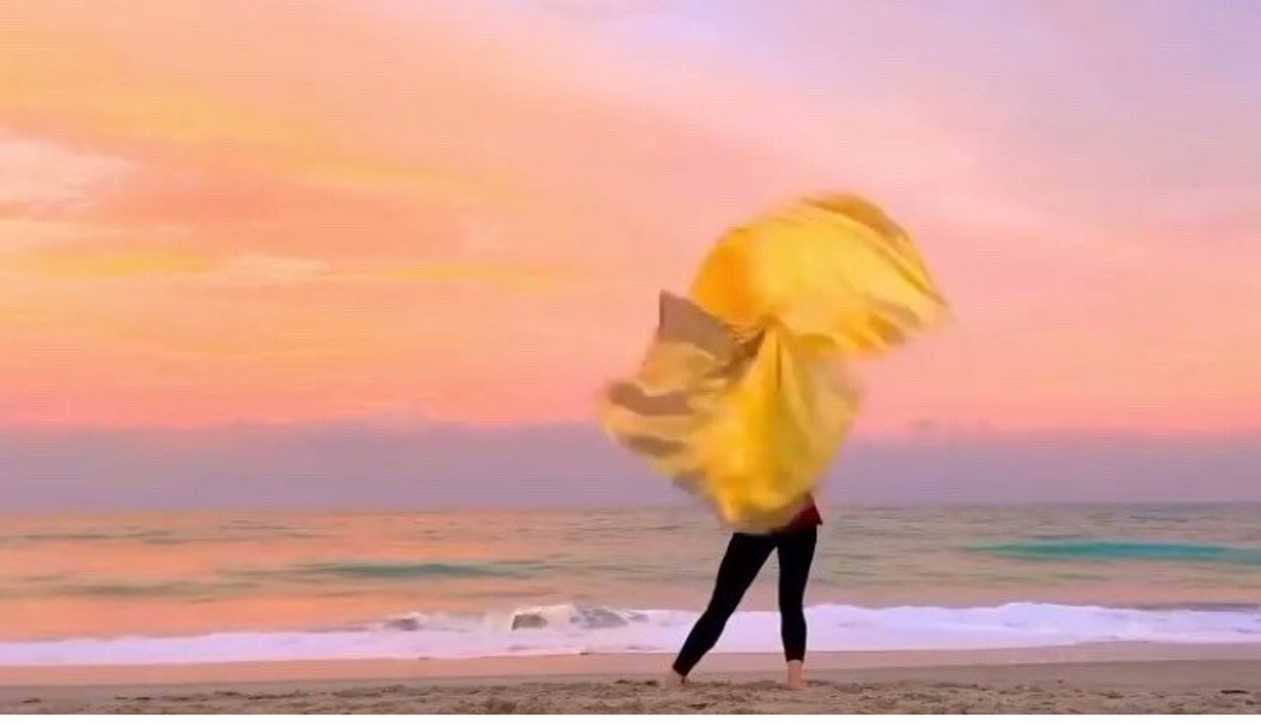 Flag Flow Prop Pair of Shiny Gold Weighted Spin Flags. for - Etsy