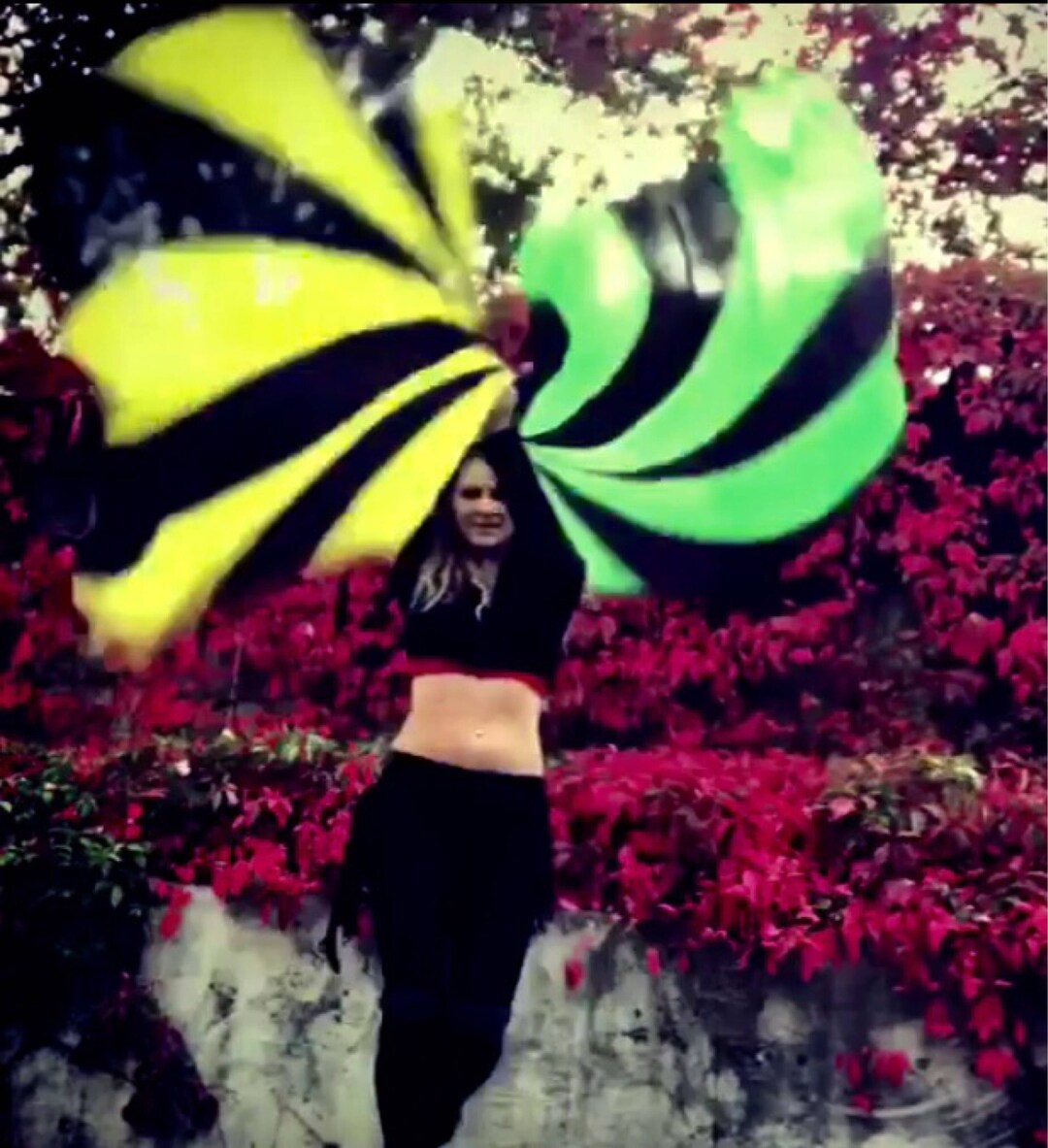 COLOR OPTIONS Silk Swing Flags Hand Painted Captivate Audiences. Glow ...