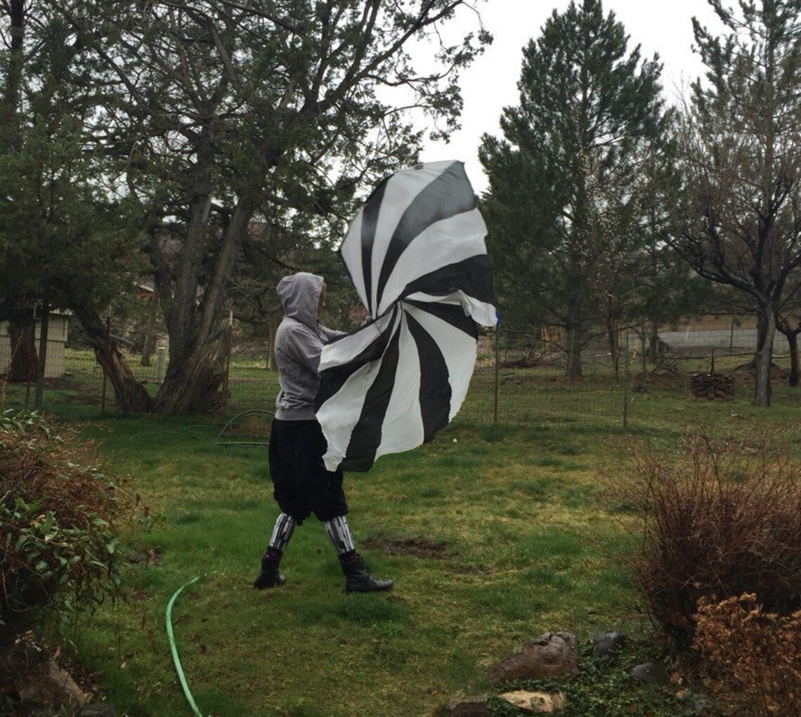 Silk Swing Flags Pair of Hand Painted Spin Flags. This Pattern - Etsy