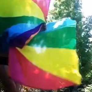 Silk Swing Flags Pair of Hand Painted Spin Flags. This Pattern Creates ...