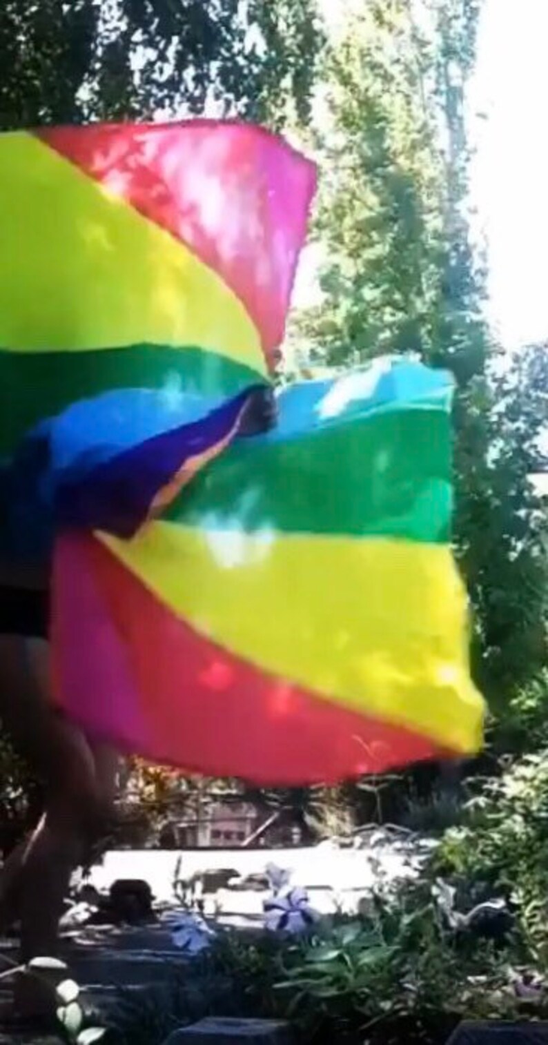 Silk Swing Flags Pair of Hand Painted Spin Flags. This Pattern | Etsy