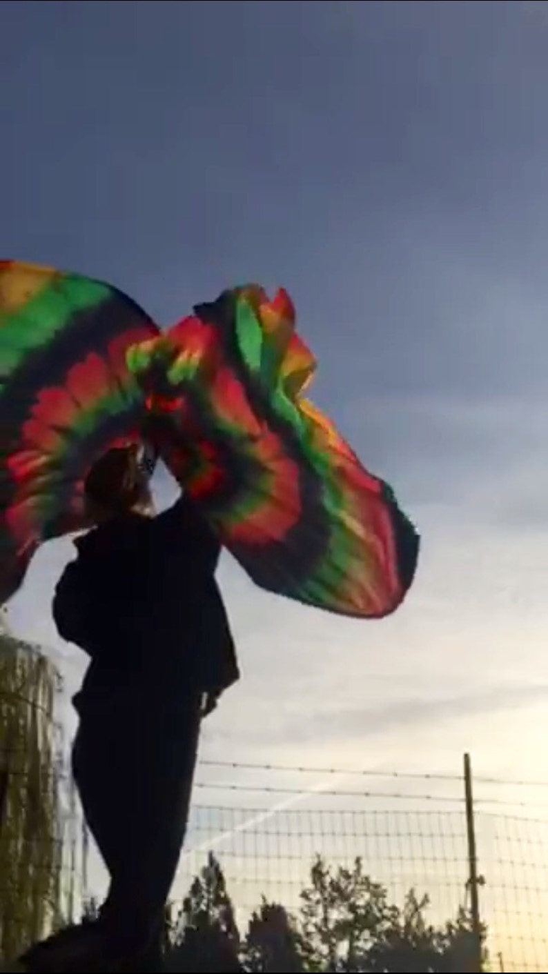 Spin Flags. Weighted Silk Flow Flags Performance Prop for - Etsy