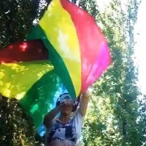 Silk Swing Flags Pair of Hand Painted Spin Flags. This Pattern Creates ...