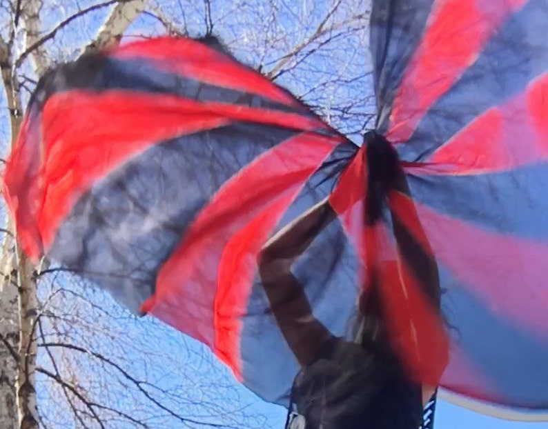 Silk Swing Flags Pair of Hand Painted Spin Flags. This Pattern | Etsy
