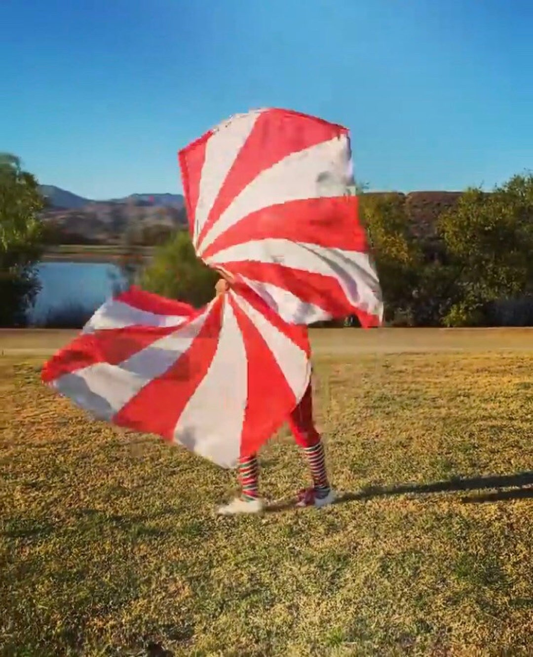 Silk Swing Flags Pair of Hand Painted Spin Flags. This Pattern Creates ...