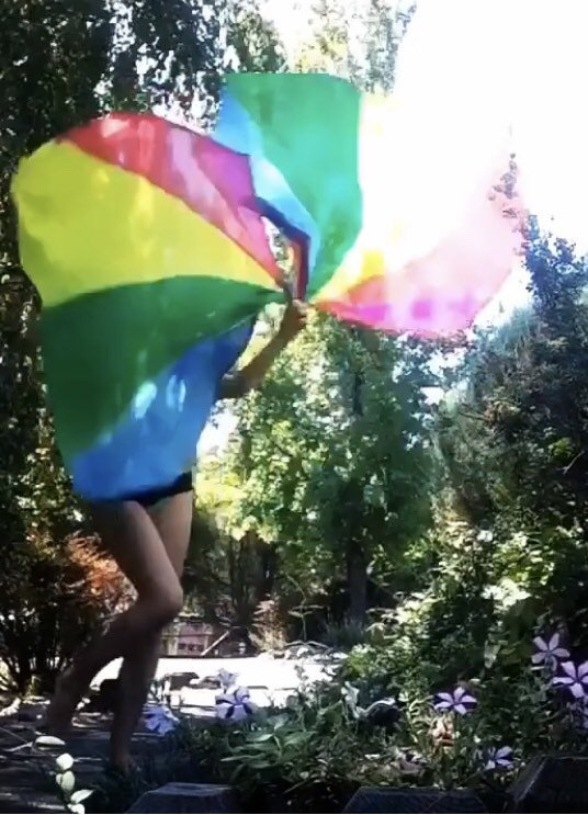 Silk Swing Flags Pair of Hand Painted Spin Flags. This Pattern | Etsy