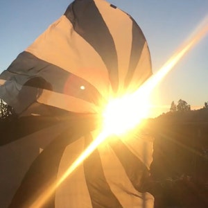 Silk Swing Flags Pair of Hand Painted Spin Flags. This Pattern Creates ...