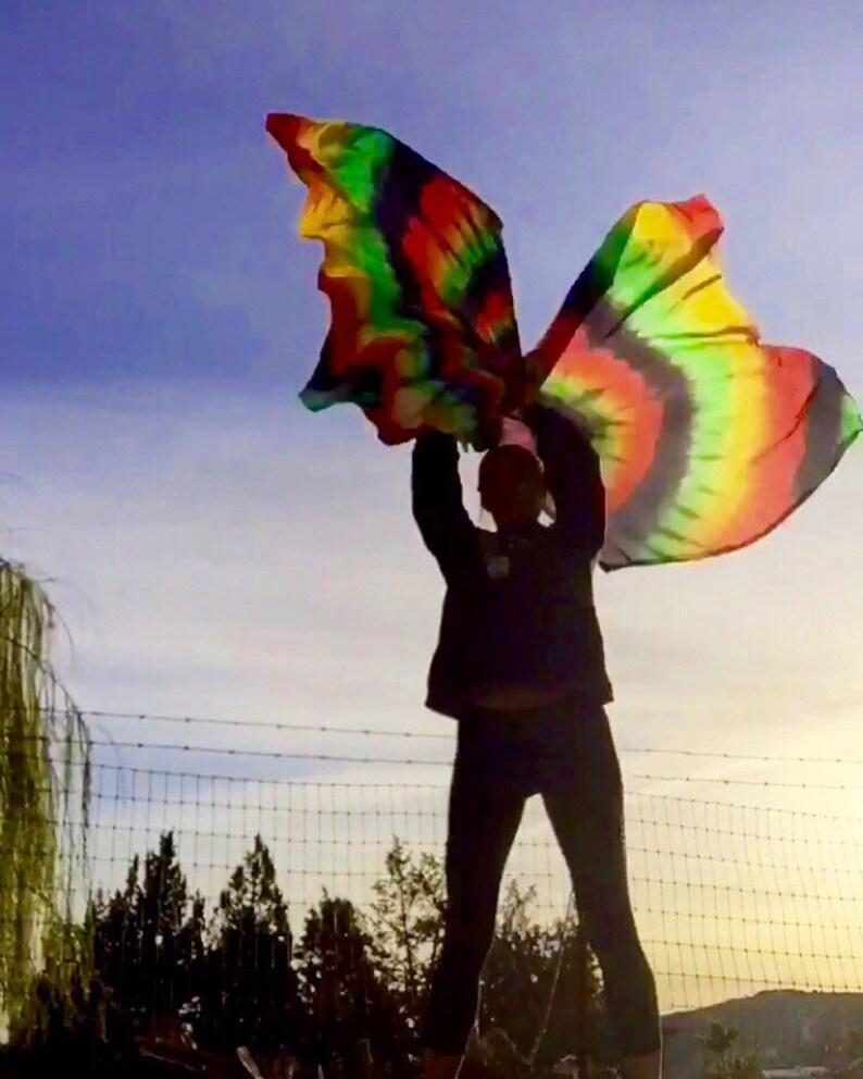 Spin Flags. Weighted Silk Flow Flags Performance Prop for - Etsy