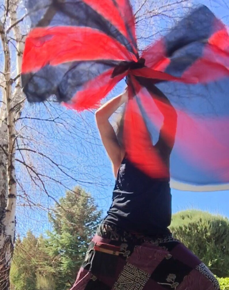 Silk Swing Flags Pair of Hand Painted Spin Flags. This Pattern | Etsy