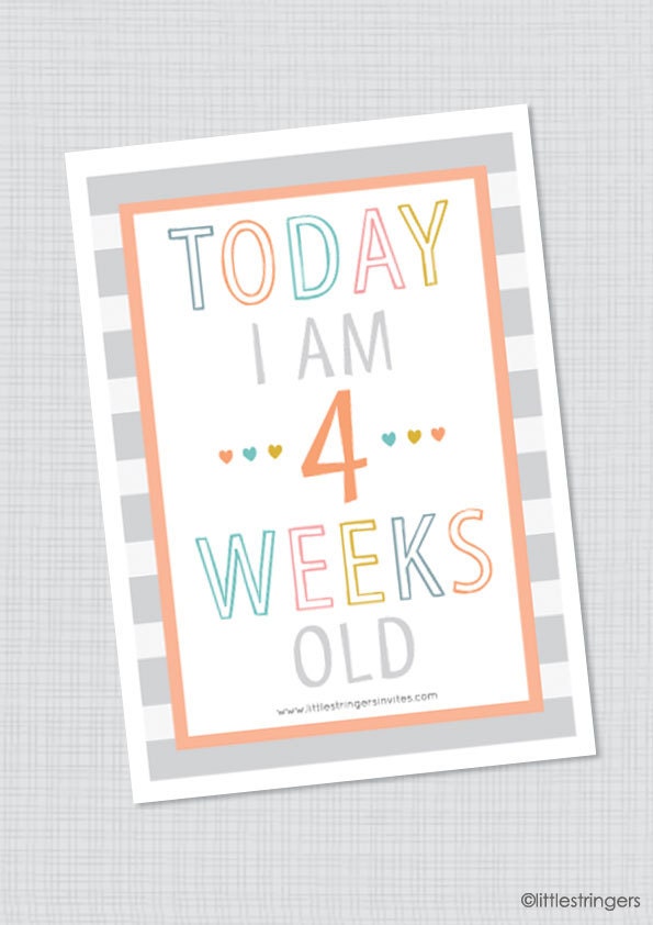 Instant Download Printable Illustrated Baby Milestone Cards, Baby's ...