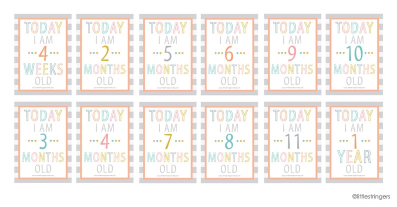 Instant Download Printable Illustrated Baby Milestone Cards, Baby's ...