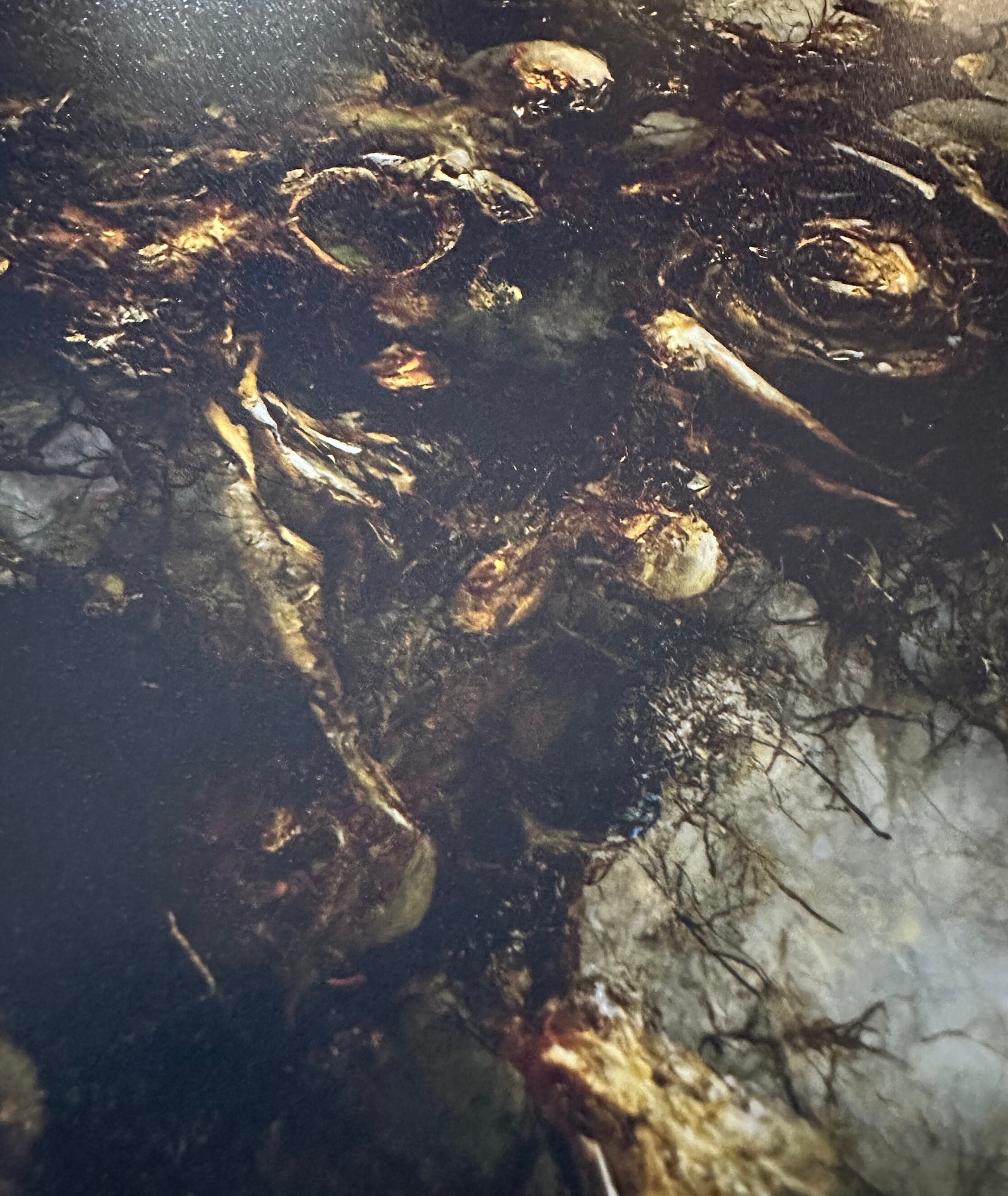 Alchemy Gothic Art Print citrinitas - Etsy