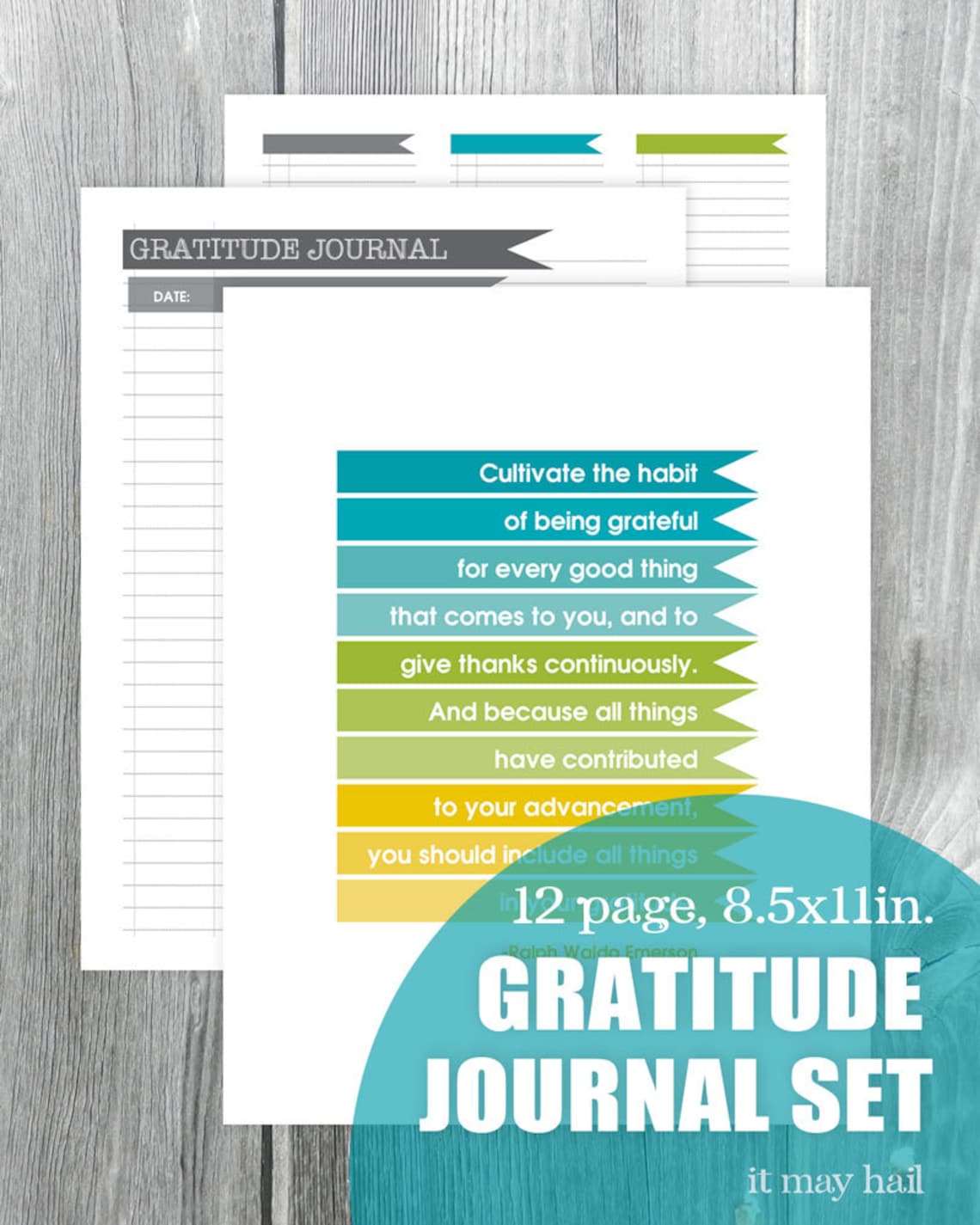 Gratitude Journal 12 Page Set Digital Printable Inspiring Quote to Do ...