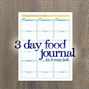 Daily Food Journal 3 Day Food Journal 7 Day Menu Planner Grocery Lists ...