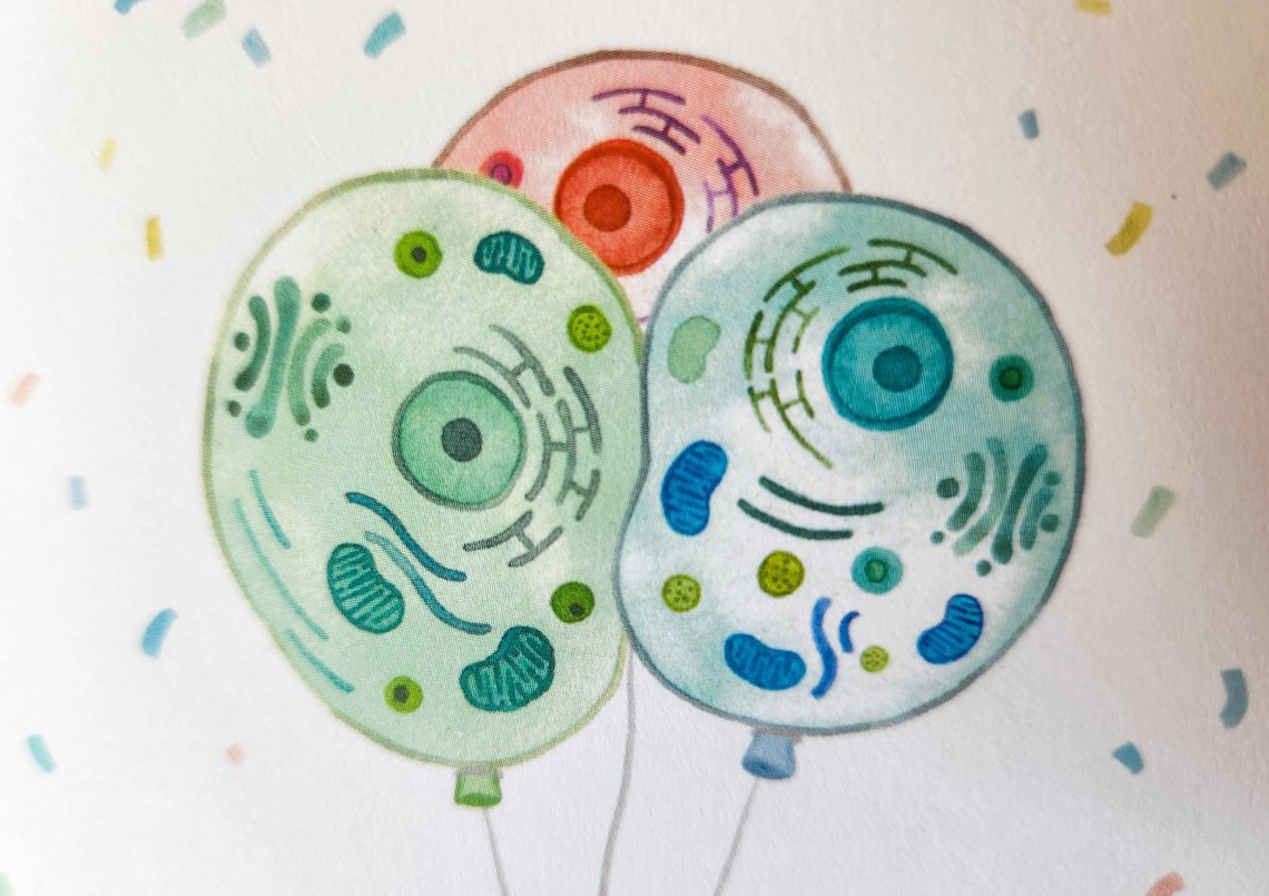Card // Time to Cell-ebrate, Celebration Celebrate Science Joke ...
