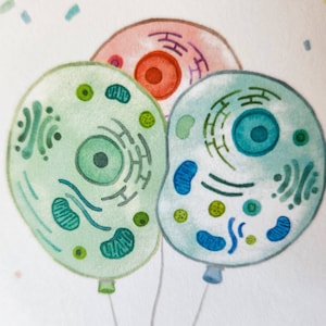 Card // Time to Cell-ebrate, Celebration Celebrate Science Joke ...