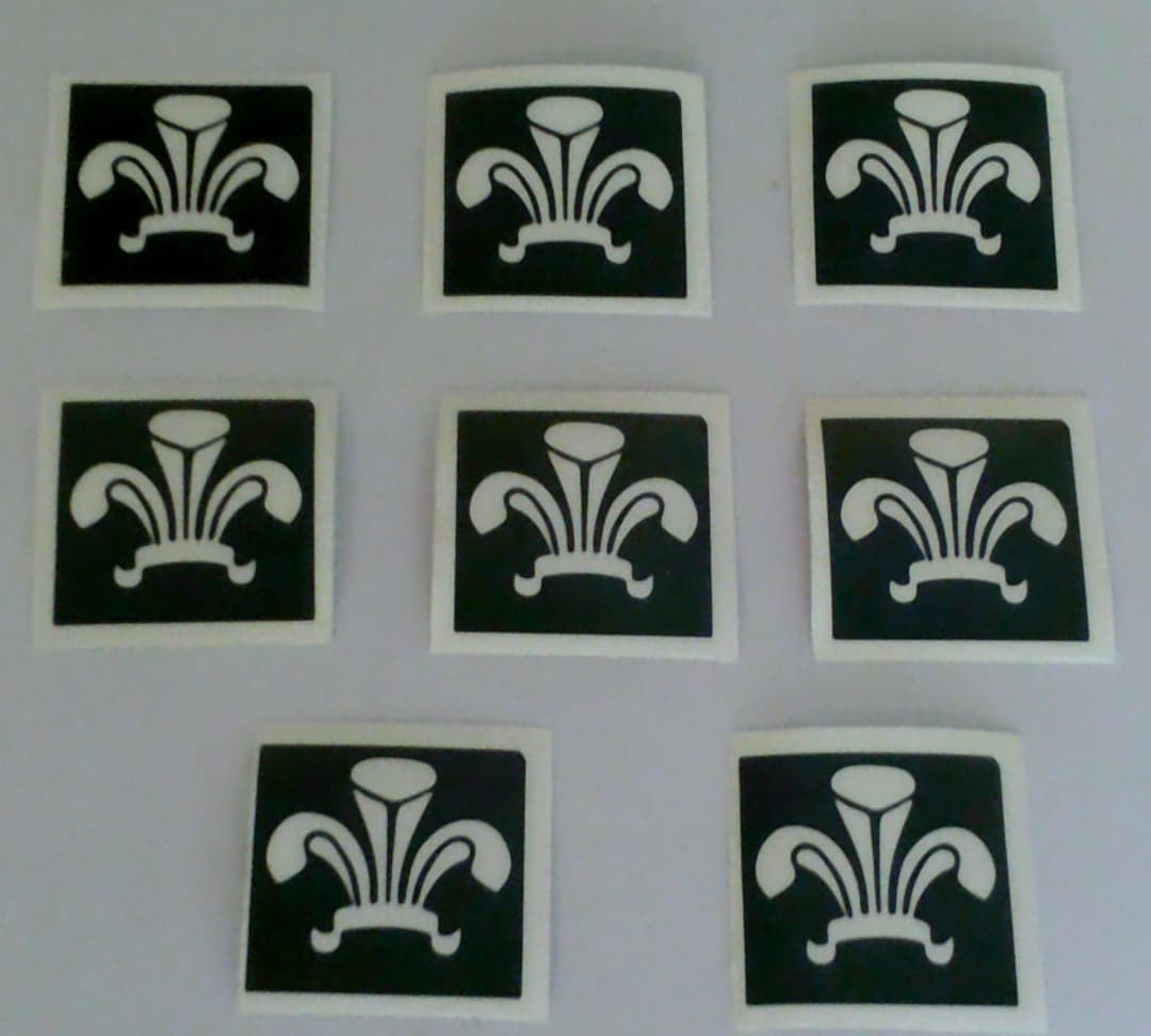 10 100 Welsh Three Feather Stencils Brilliant for Sport Events ...