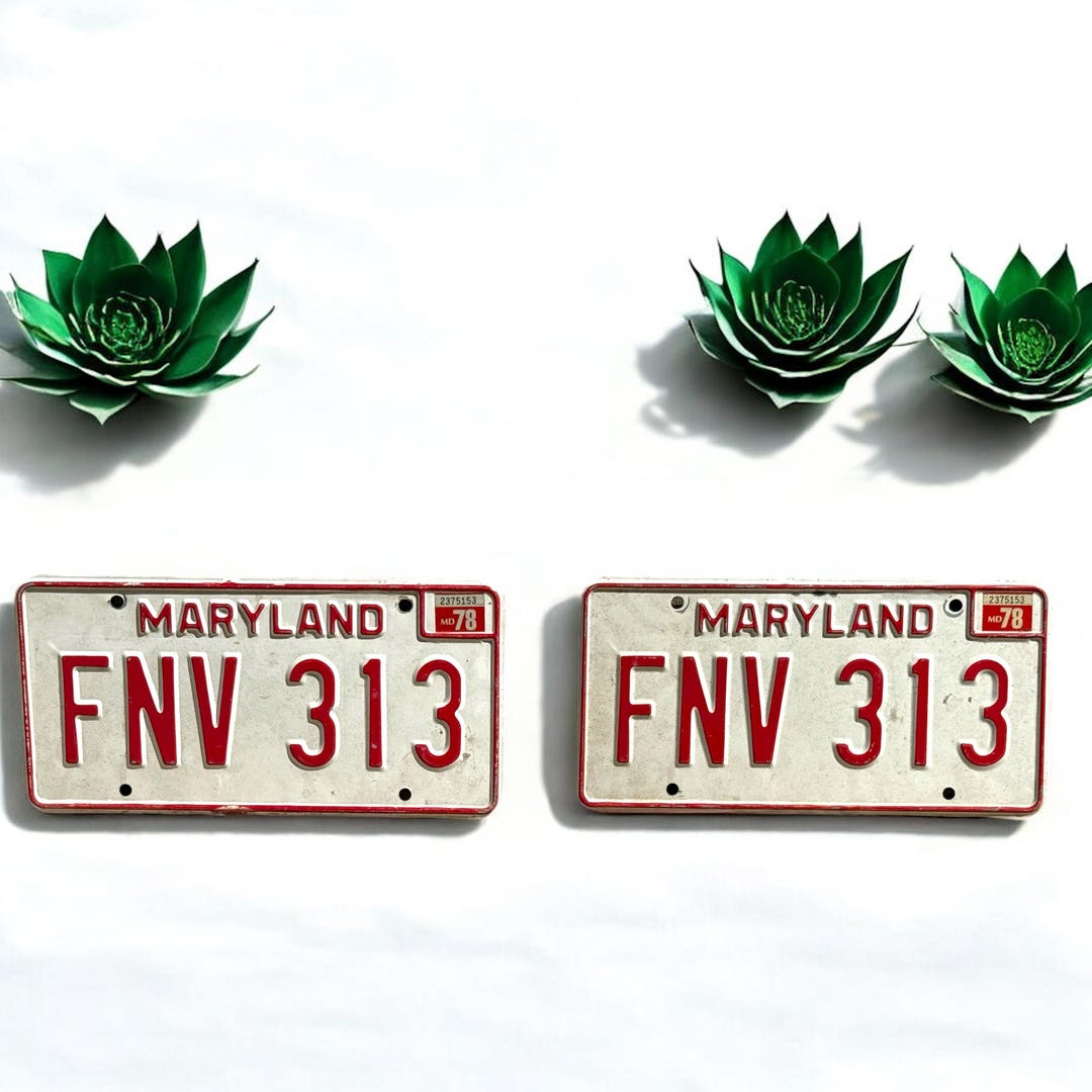 Pair of 1978 Maryland License Plates, FNV 313, Matching Set Red on ...