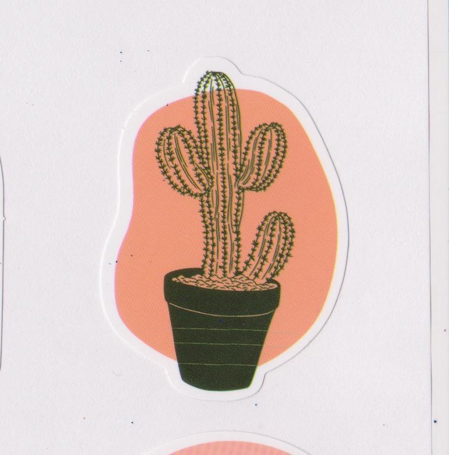 Arizona Desert Stickers: Cactus, Nature, Travel Decals - UV Protected ...