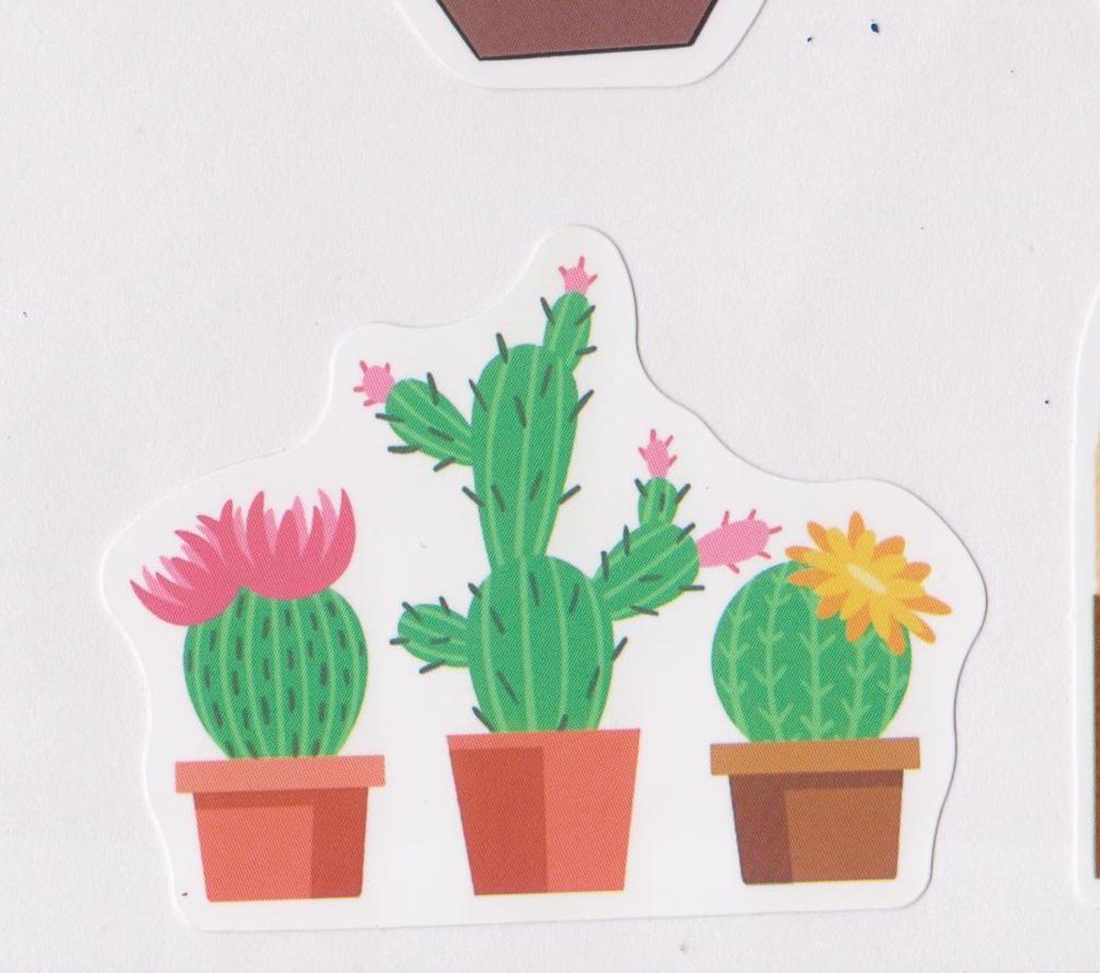 Arizona Desert Stickers: Cactus, Nature, Travel Decals - UV Protected ...