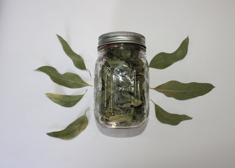 Glass Mason Jar of Organic Loose Eucalyptus Leaves Fresh / Dry | Etsy