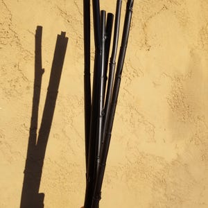 Black Bamboo Poles 6pcs Hand Cut Painted River Cane Stakes for ...