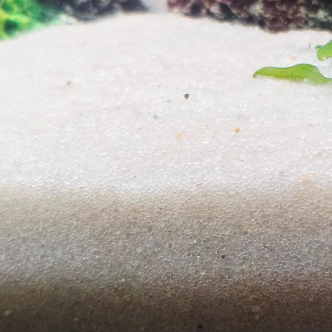 Natural Sugar White Aquarium Sand: Fine Grain, Triple-washed - Etsy
