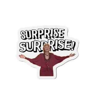 Surprise Surprise Die-cut Vinyl Magnets Kitchen or Beer Fridge Funny ...