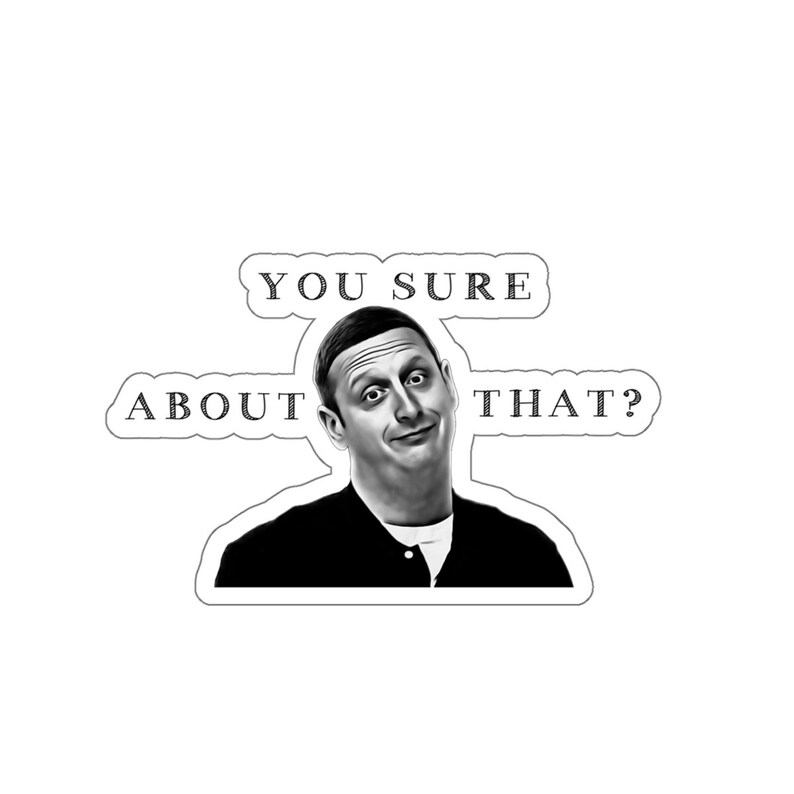 ITYSL You Sure About That Funny Meme Kiss-cut Stickers Tim Robinson I ...