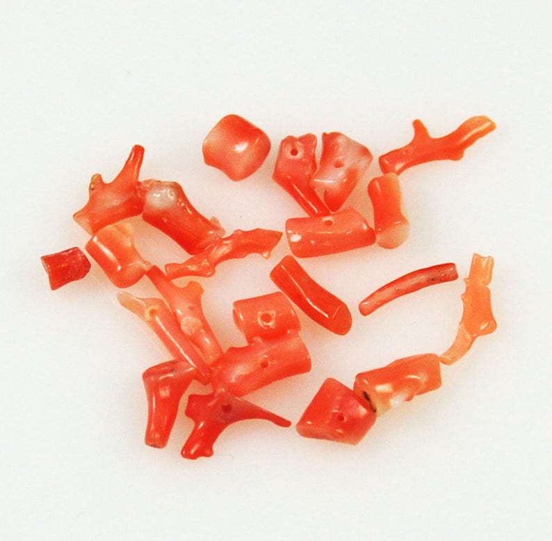 Italian Salmon Coral Branch Beads Natural 12 Beads Vintage - Etsy