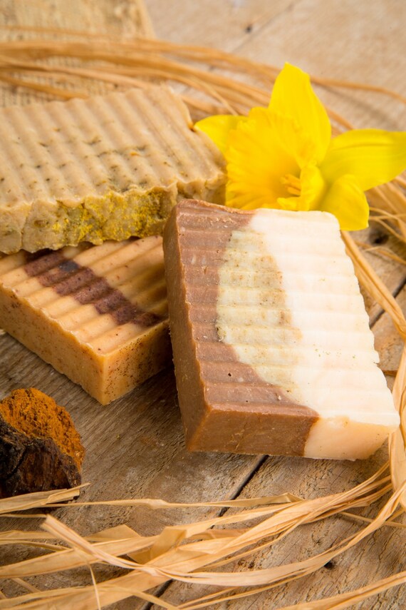 WIld Chaga Mushroom Soap with Birch Tree Leaves and Buds All | Etsy