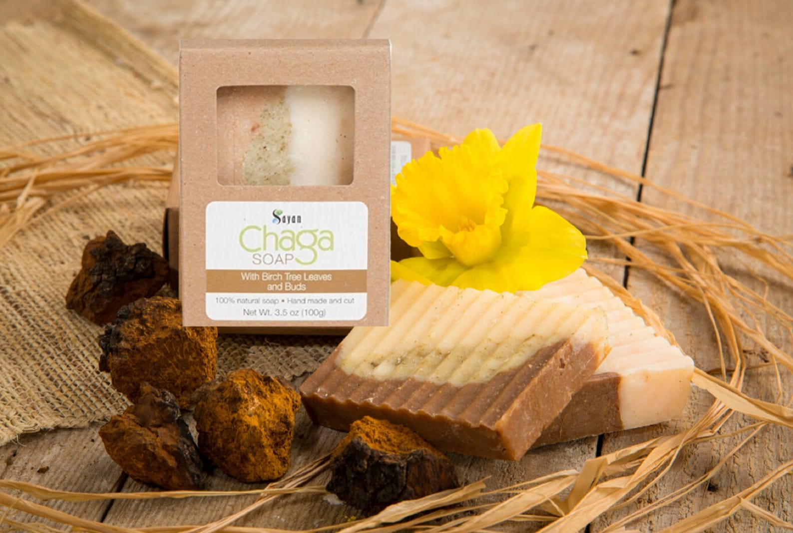Organic Chaga Mushroom Soap, Birch Leaf & Buds, Handmade Soap Bar (3 ...
