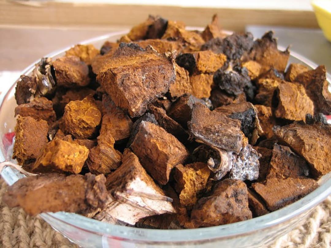 Wild Chaga Mushroom Chunks - 1lb (454g), Wild-harvested Organic Chaga ...