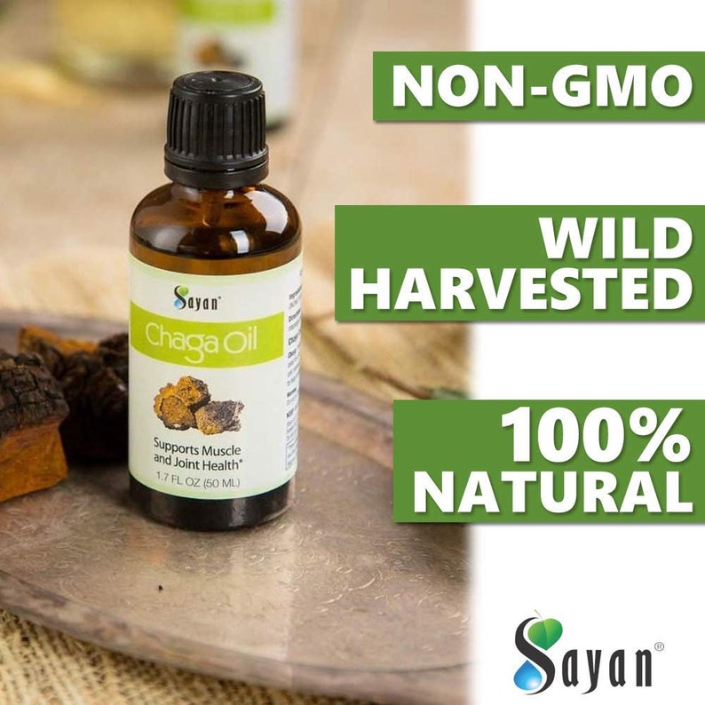 Wild Chaga Mushroom Essential Oil All Natural Siberian - Etsy