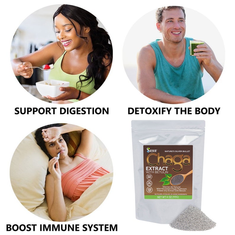 Wild Chaga Mushroom Extract Betulin Powder Freeze Dry | Etsy