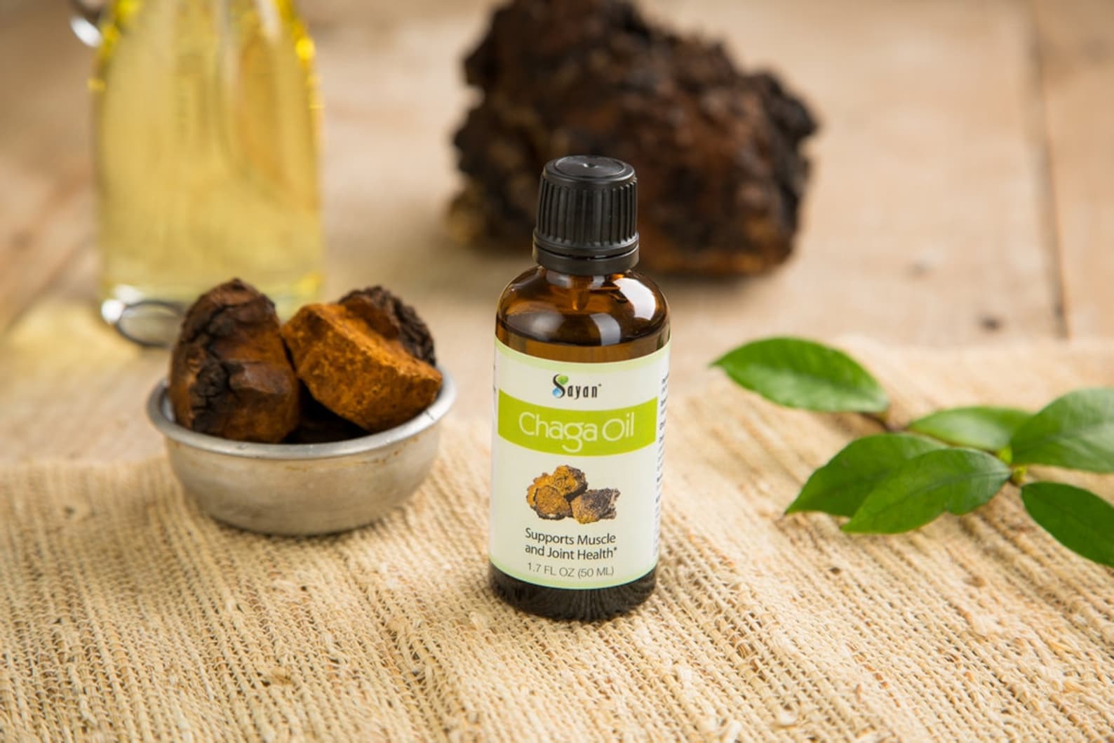 Wild Chaga Mushroom Essential Oil All Natural Siberian | Etsy