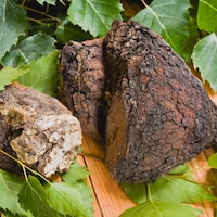 Chewing Gum, Sugar Free Natural Gum With Pine Tree Resin and Beeswax ...