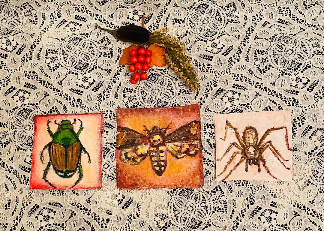Insects in My Attic Entomology Hand Painted Assorted Moth, Spider, and ...