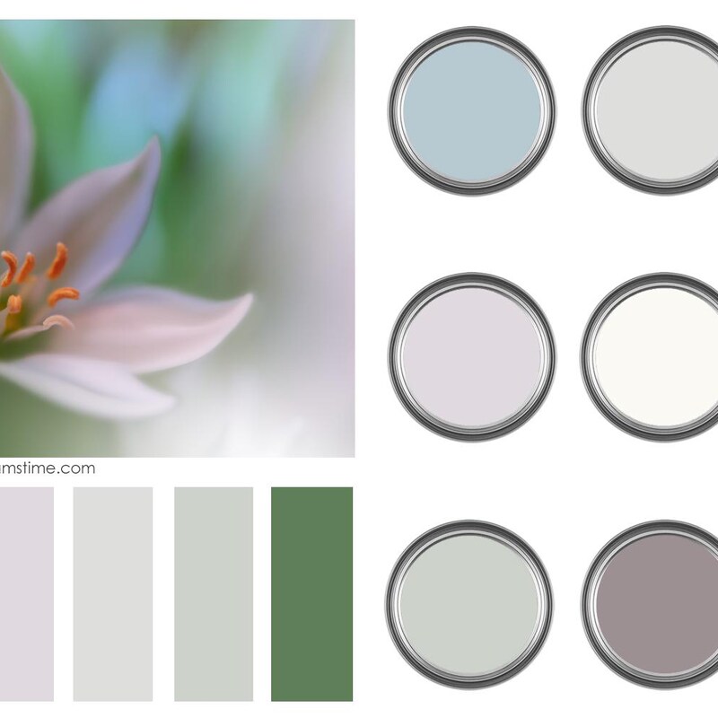 Quietude Color Palette - Etsy