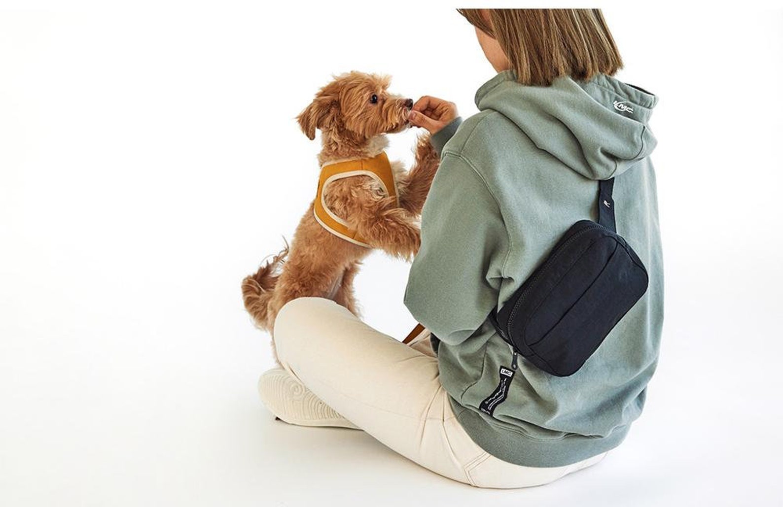 Ruff Ruff Walk Hipsack / Fanny Pack / Small Bag / Unisex / Hip - Etsy