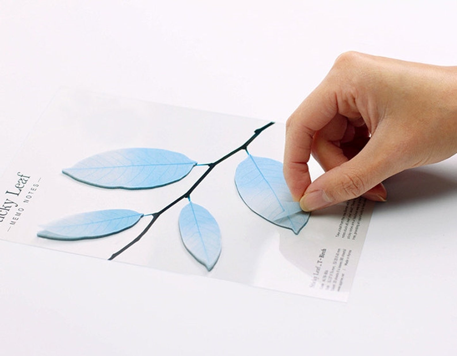 Tracing Sticky Notes leaves / Leaf Notepads / Personalized - Etsy