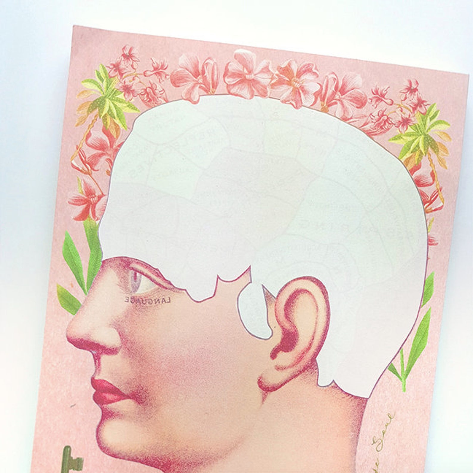 A5 Brain Notepads / Unique Notepad / Colorful Memo Pad / - Etsy