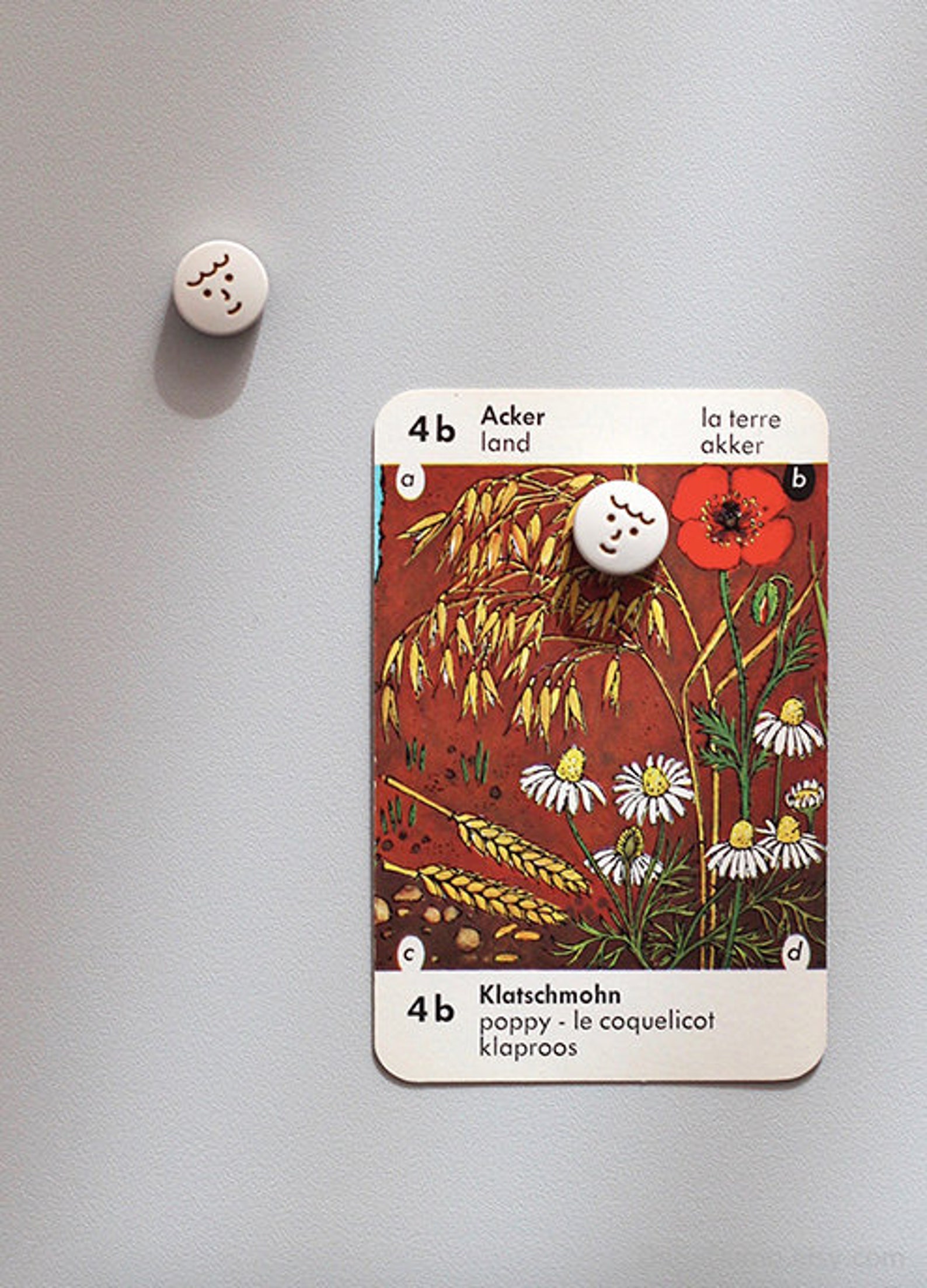 SMILE Magnets 4P / Cute Magnets / Neodymium Magnets / Disc - Etsy