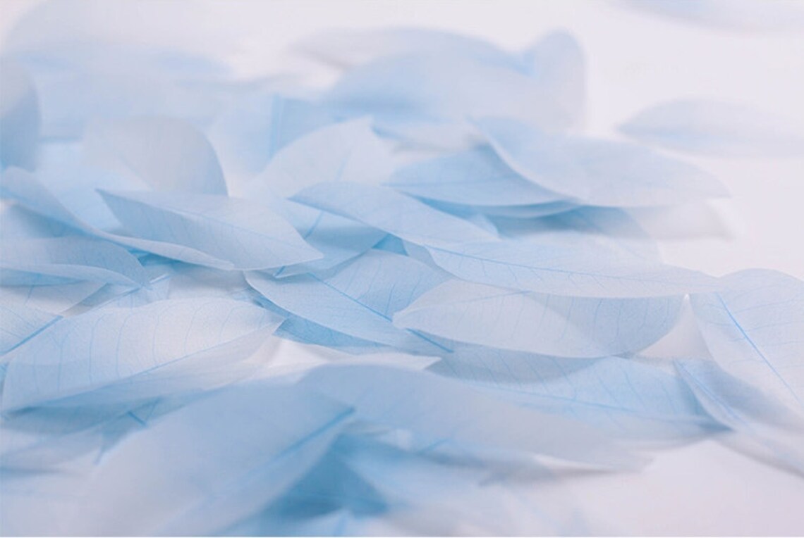 Tracing Sticky Notes leaves / Leaf Notepads / Personalized - Etsy