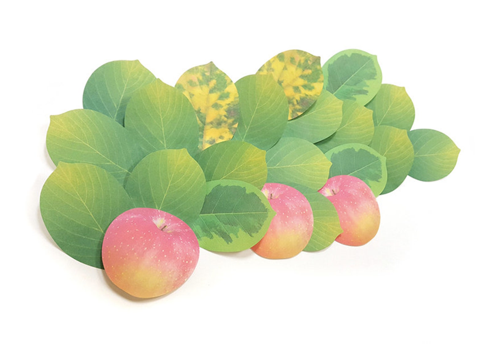 Apple Sticky Notes / Fruits / Colorful Notepads / Personalized | Etsy