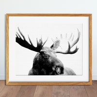 Antler Print - Etsy