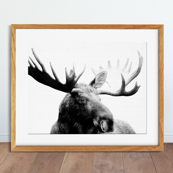 Moose Wall Art - Etsy
