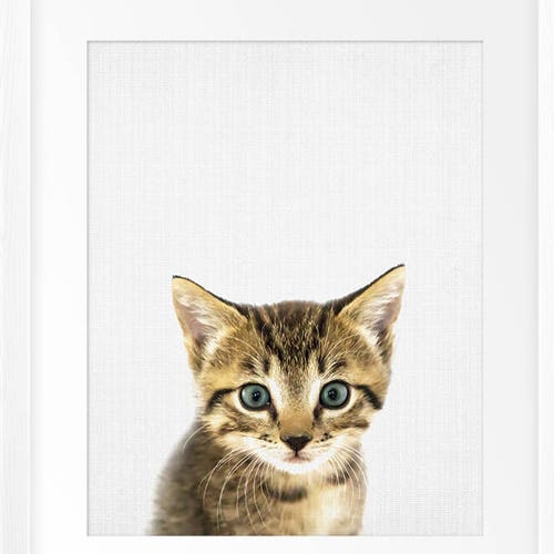 Cat Print Baby Animal Print Nursery Print Kitten Print | Etsy
