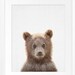 Bear Print, Bear Cub Poster, Woodlands Nursery Wall Art, Baby Animals ...